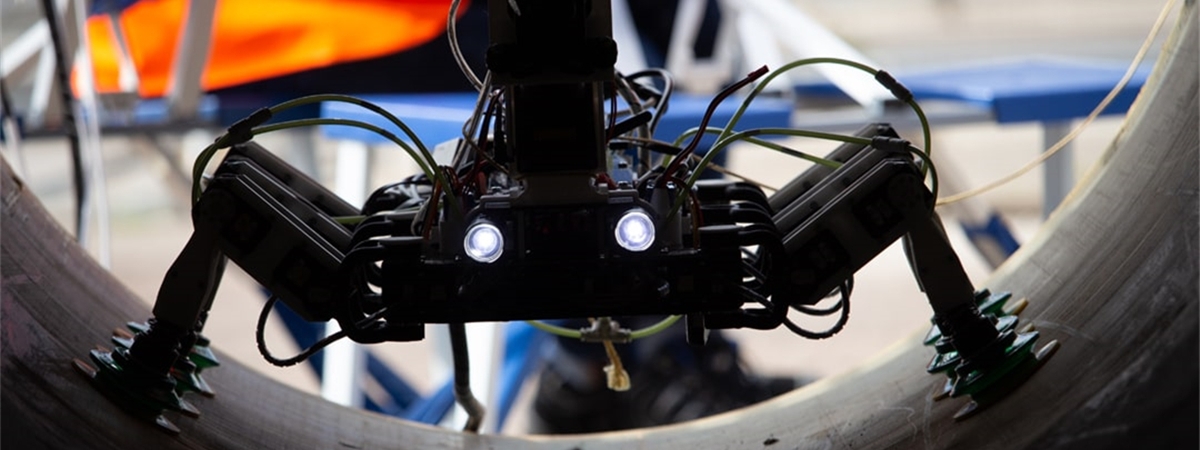 英国BladeBUG公司